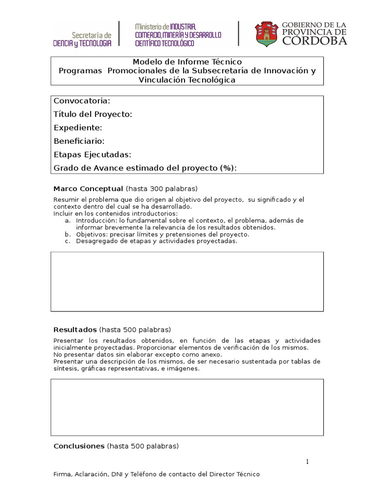Modelo de Informe Técnico