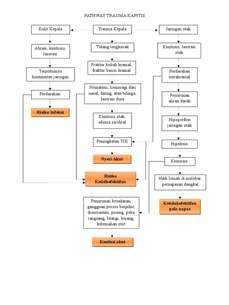 Pathway Trauma Kapitis | PDF | Griya & Taman