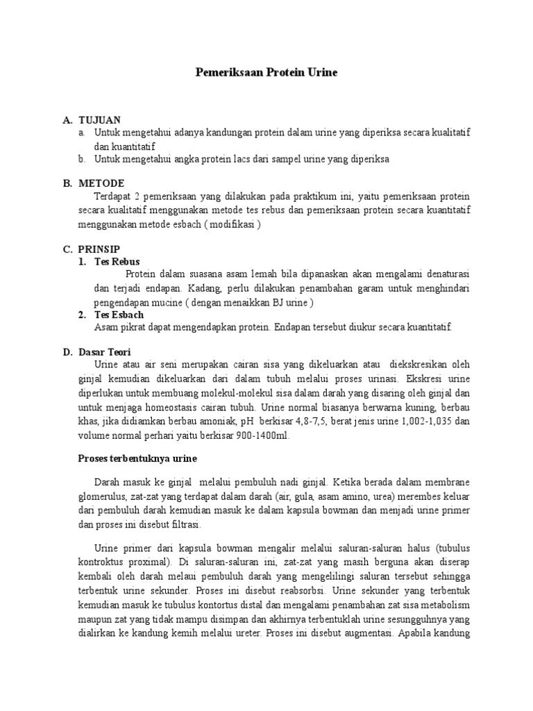 Pemeriksaan Protein Urine: Metode Tes Rebus & Esbach | PDF | Memasak ...