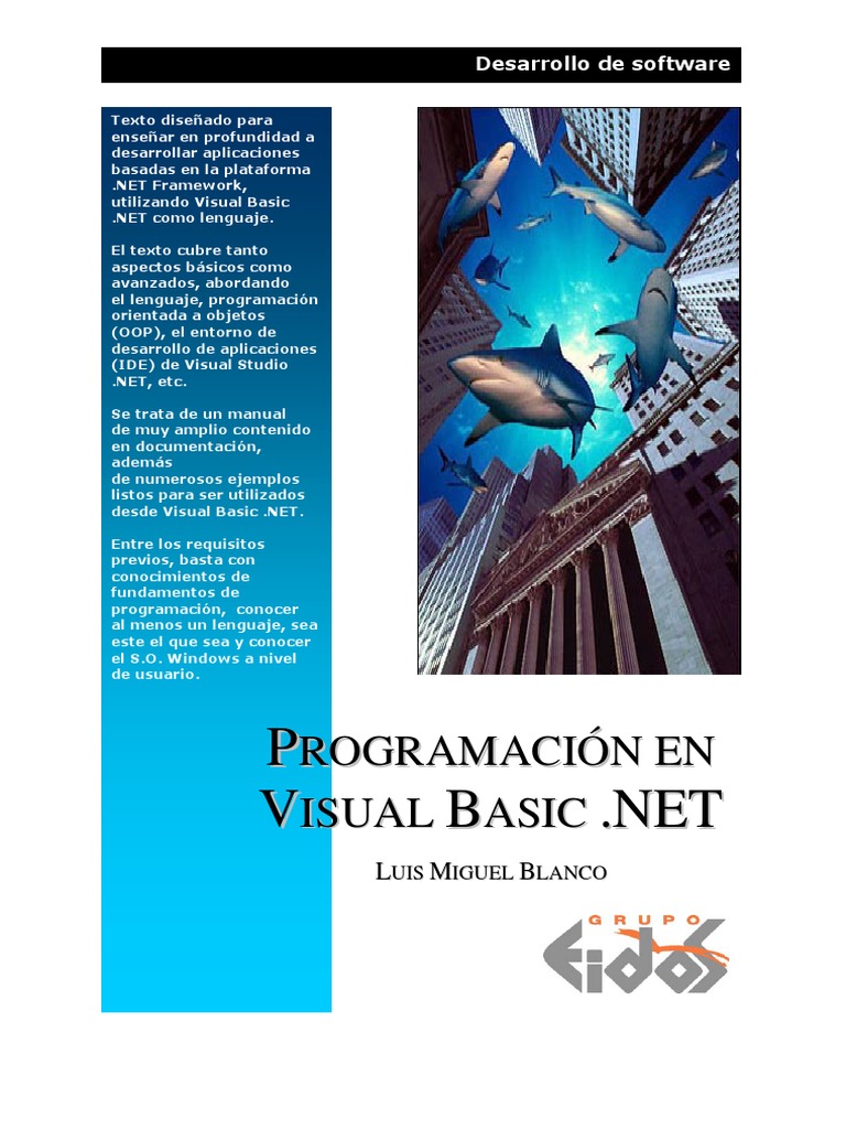 Visual Basic | PDF