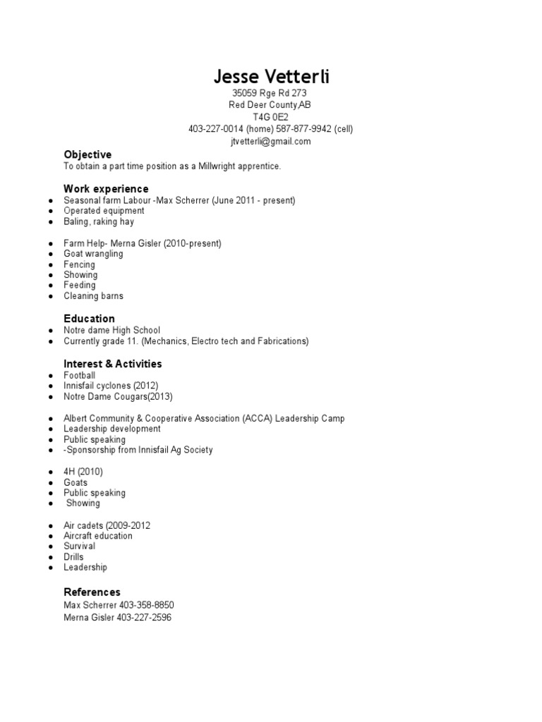Millwright Apprentice Resume | PDF | Sports & Recreation