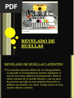 Catalogo Sirchie en Español | PDF | Ultravioleta | Fluorescencia