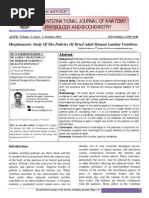 Chest Drain Observation Chart | PDF | Medical Procedures | Medical ...