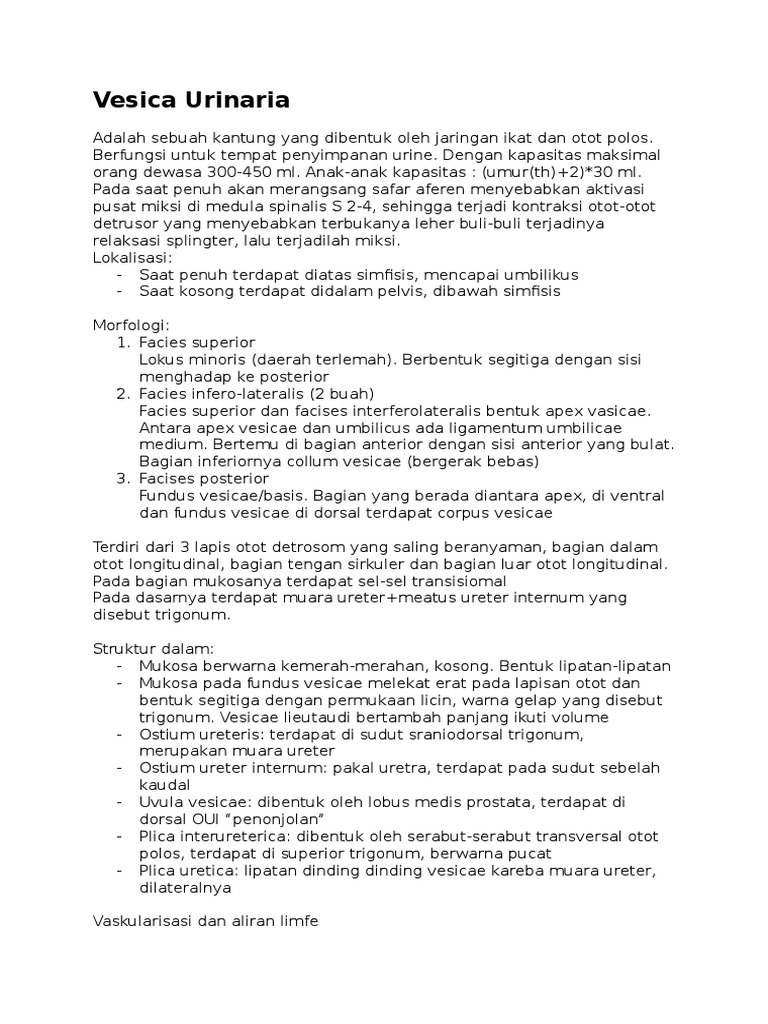 Vesica Urinaria | PDF