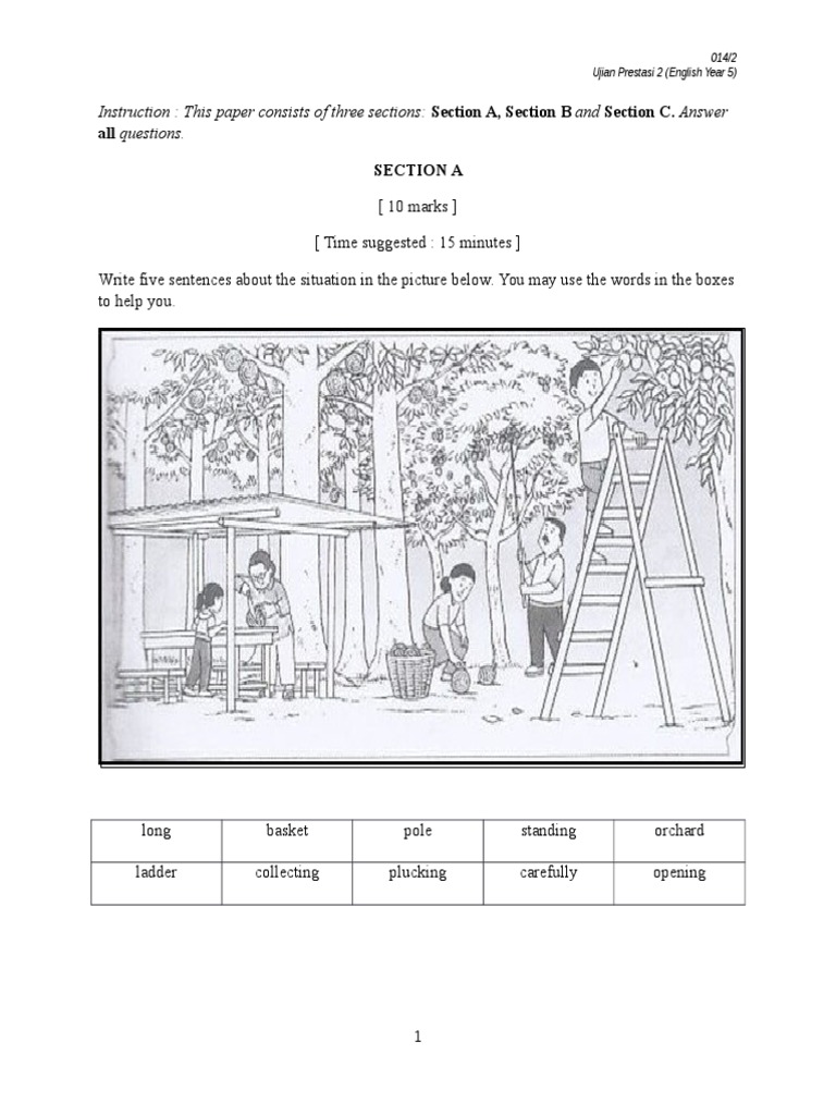 Year 5 English Test Paper 2 | PDF