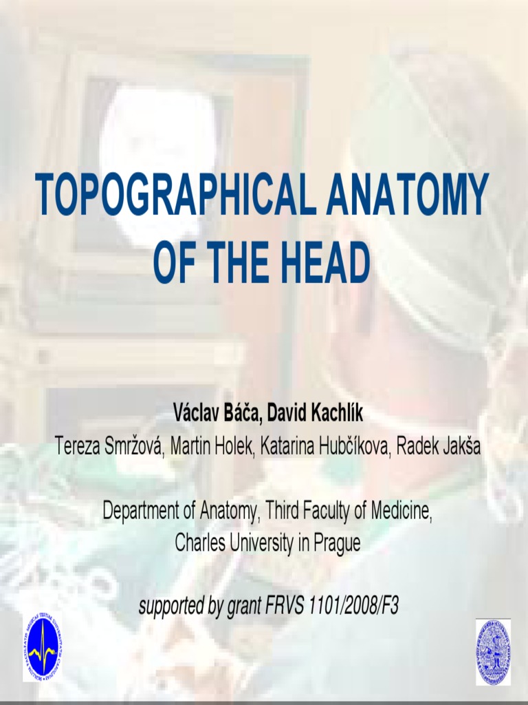 Topographic Anatomy of the Head | PDF | Human Head And Neck | Human Anatomy