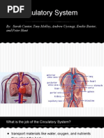 Blood and Circulation, iGCSE Biology | PDF | Circulatory System ...