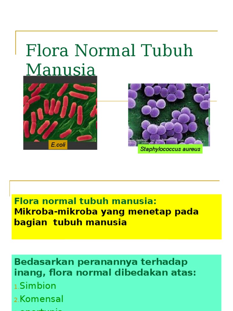 Flora Normal Tubuh Manusia | PDF