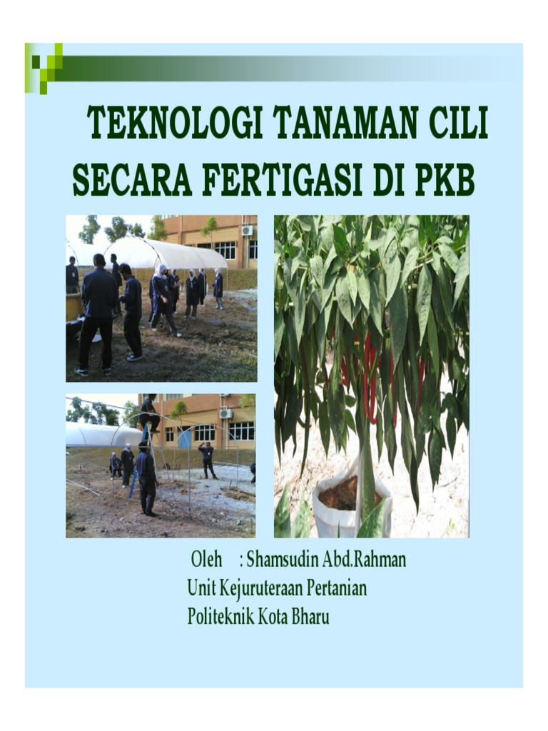 Panduan Penanaman Cili Secara Fertigasi | PDF