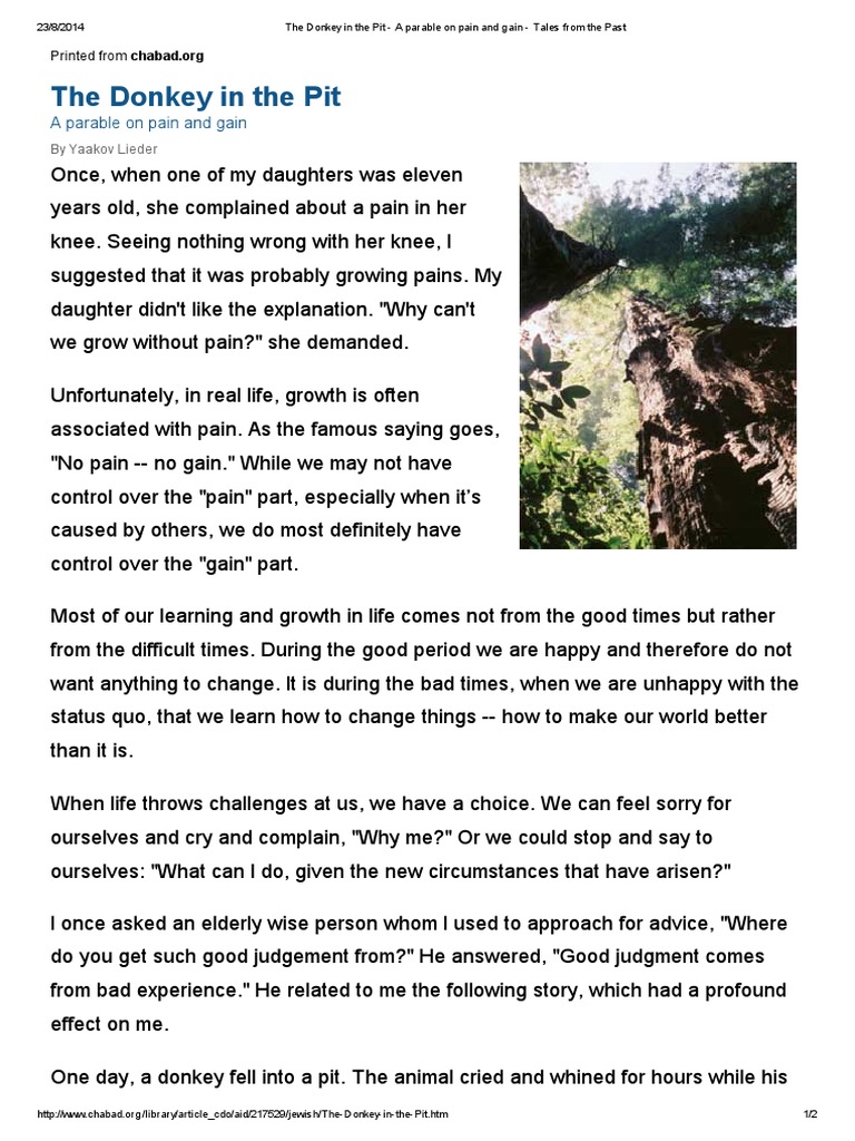 The Donkey in The Pit - A Parable On Pain and Gain - Tales From The ...