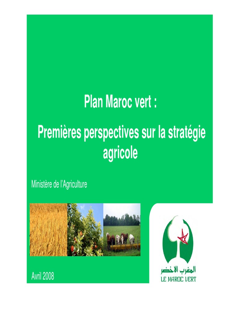 Perspectives du Plan Maroc Vert | PDF