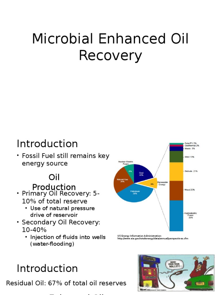 Microbial Enhanced Oil Recovery | PDF | Enhanced Oil Recovery | Petroleum Reservoir