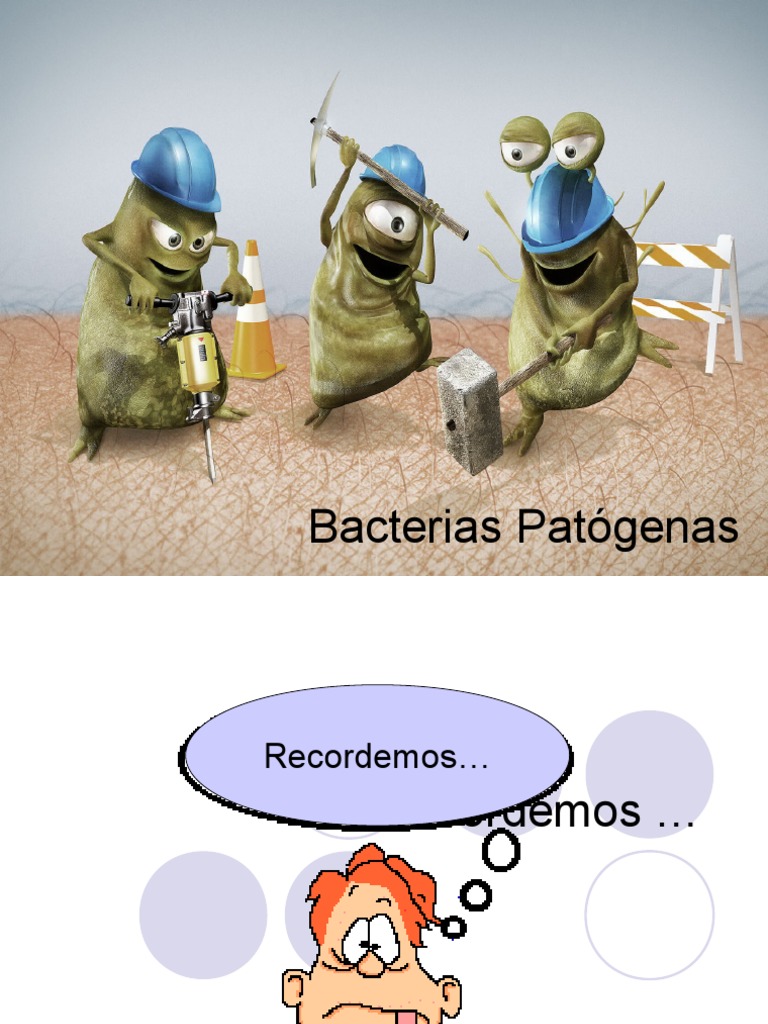 Bacterias Patógenas | PDF | Las bacterias | Antibióticos
