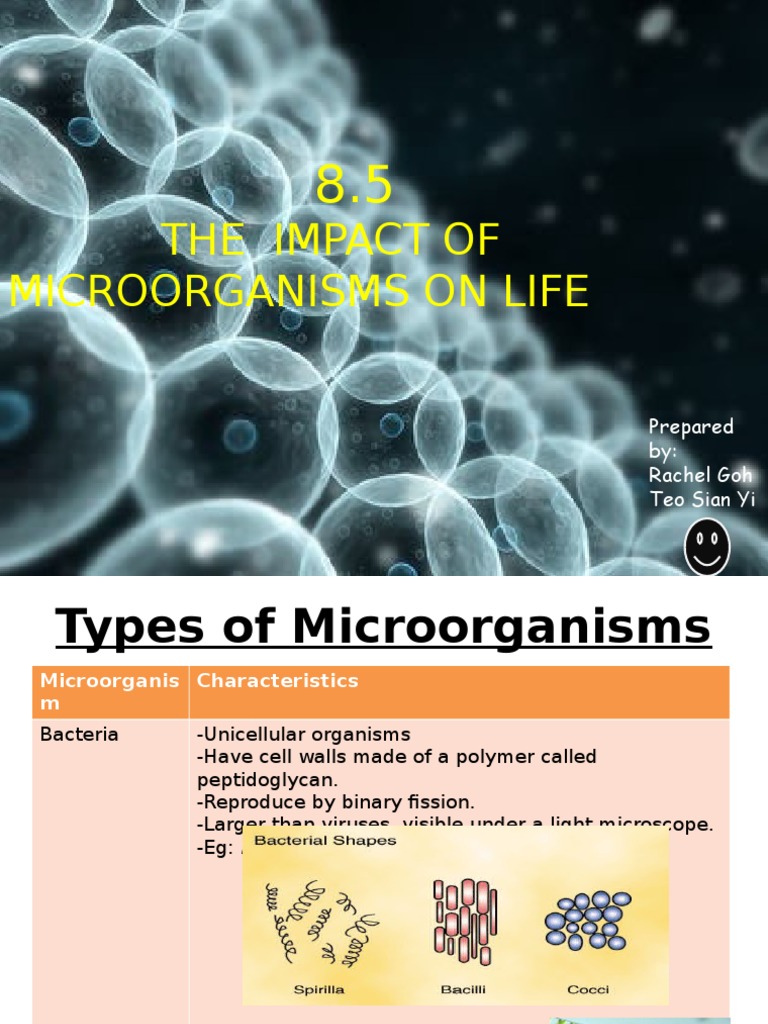 The Impact of Microorganisms On Life | Download Free PDF | Transmission ...