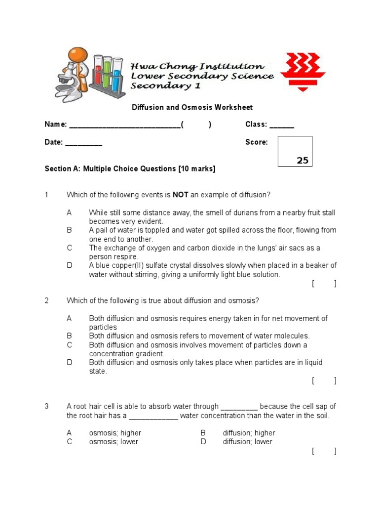 Diffusion and Osmosis Worksheet | PDF | Osmosis | Diffusion
