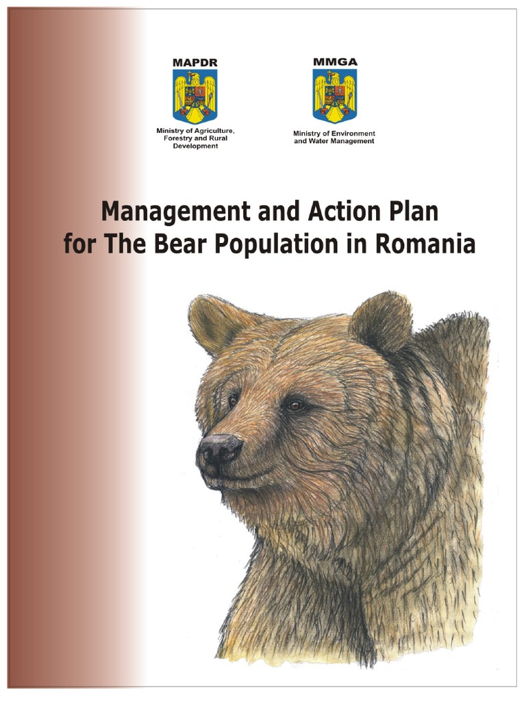 Romanian Bear Management Plan | PDF | Hunting | Conservation Biology