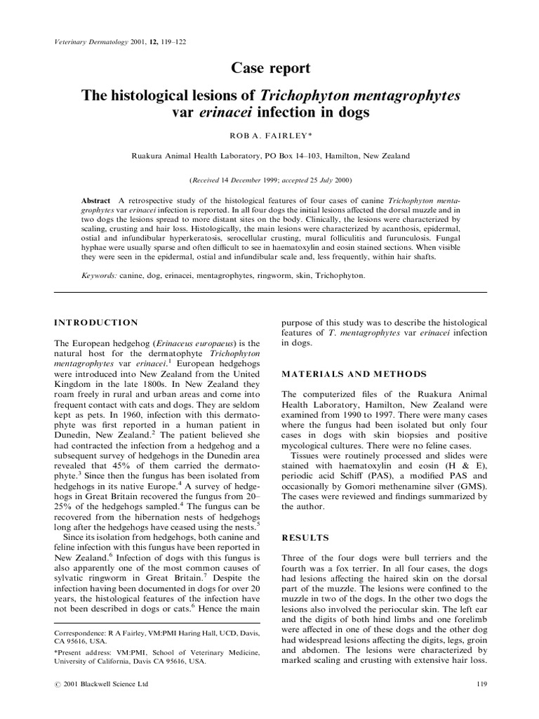 The Histological Lesions of Trichophyton Mentagrophytes Var Erinacei ...