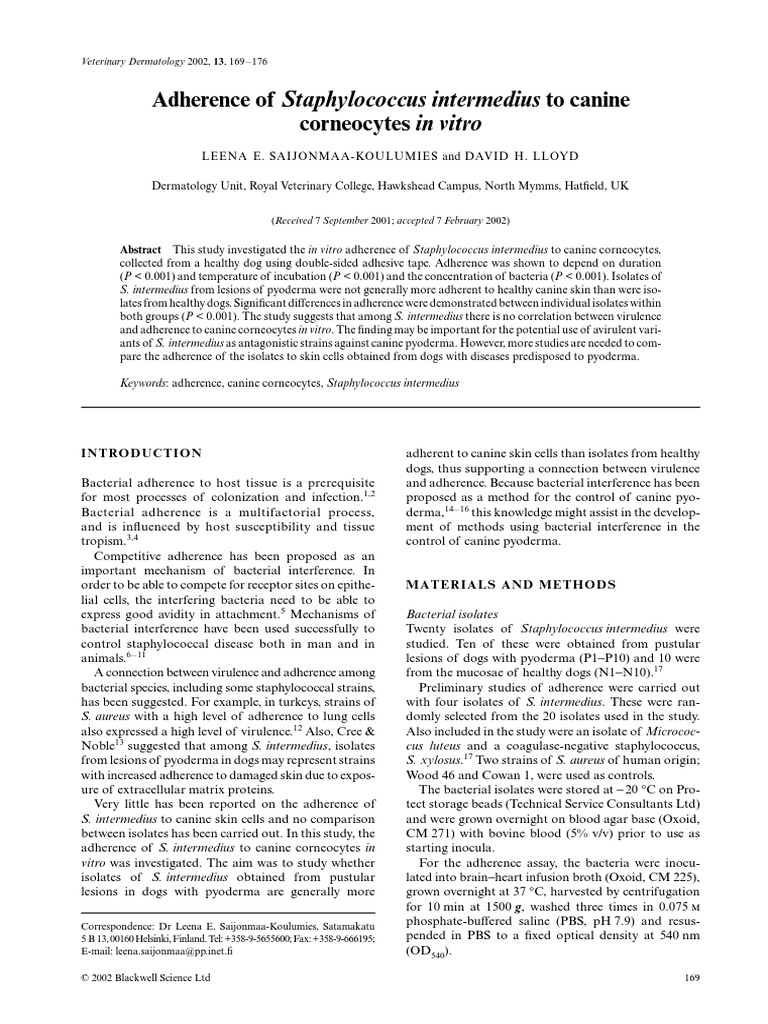 Adherence of Staphylococcus Intermedius To Canine Corneocytes in Vitro ...