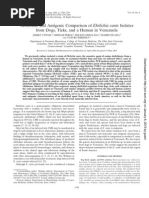 【DA】Time Series Data Augmentation for Deep Learning A Survey | PDF ...