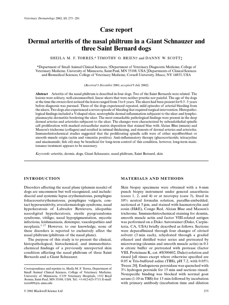 Dermal Arteritis of The Nasal Philtrum in A Giant Schnauzer and Three ...