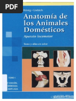 Anatomía Veterinaria 4ed DYCE | PDF