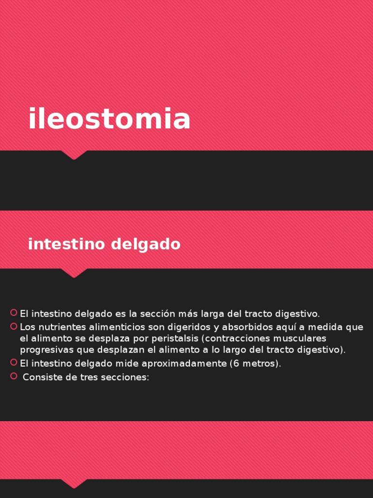 Ileostomia | PDF | Intestino delgado | Sistema digestivo humano