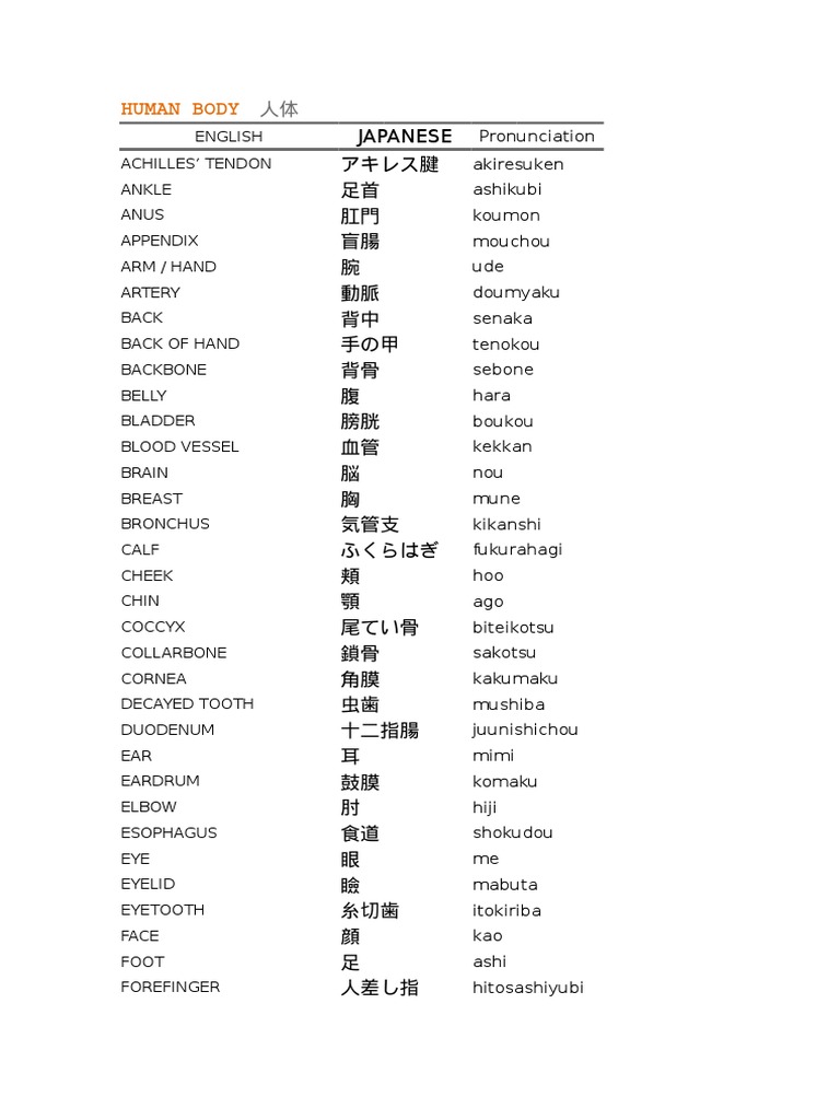 Japanese Medical Vocabulary Guide | PDF | Medical Specialties ...