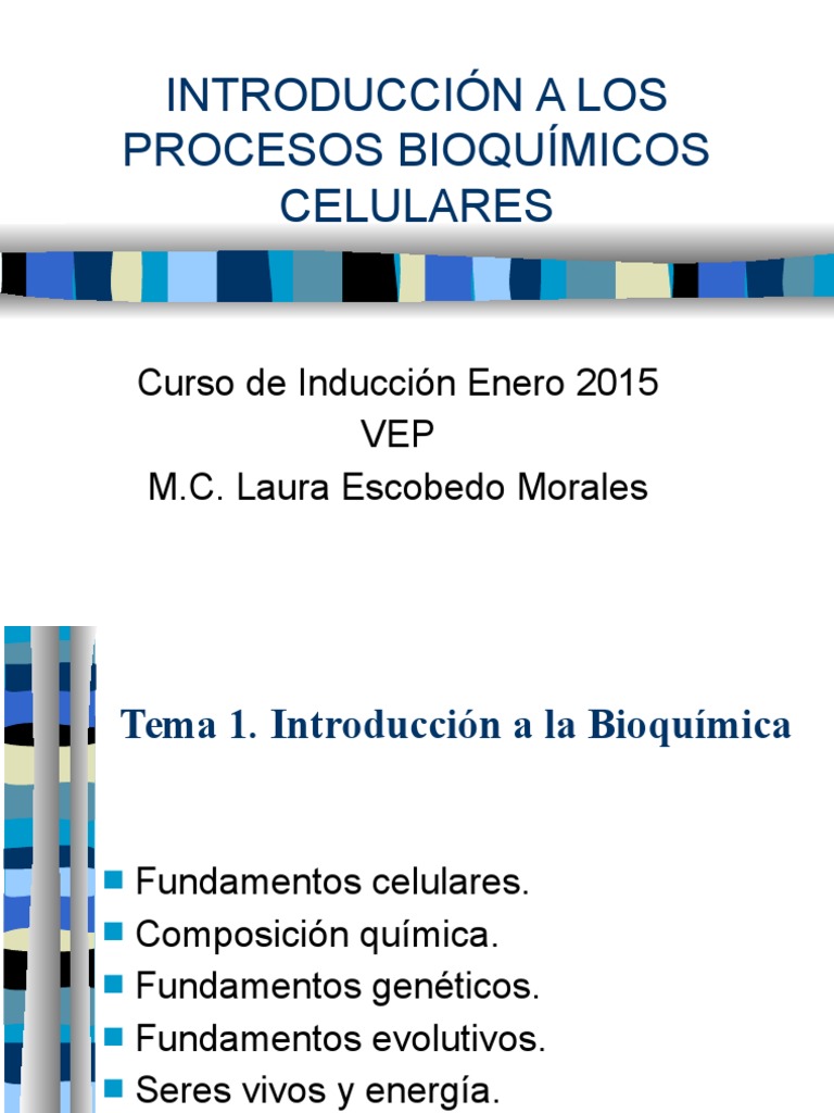 Introducción A Los Procesos Bioquímicos Celulares | PDF | Biología ...