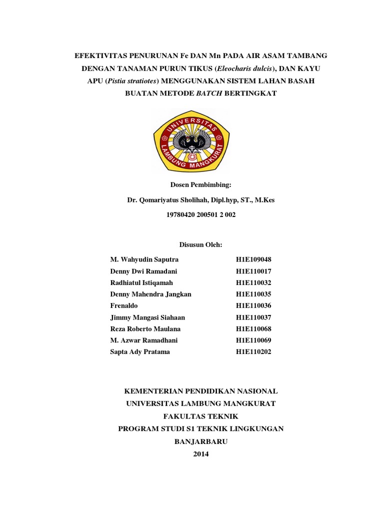 EFEKTIVITAS PENURUNAN Fe DAN MN PADA AIR ASAM TAMBANG DENGAN TANAMAN ...