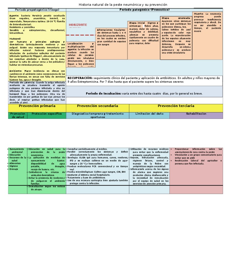 Historia natural de la peste neumónica | PDF | Peste (enfermedad ...