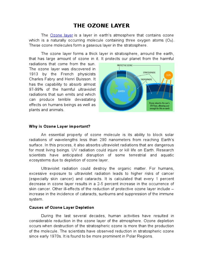 The Ozone Layer | PDF | Ozone Depletion | Physical Sciences
