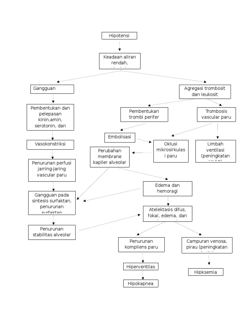 Pathway Adult Respiratory Distress Syndrom (ARDS) | PDF