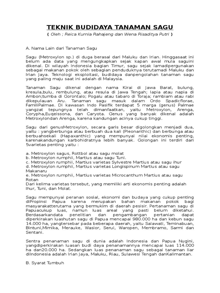 Teknik Budidaya Tanaman Sagu | PDF