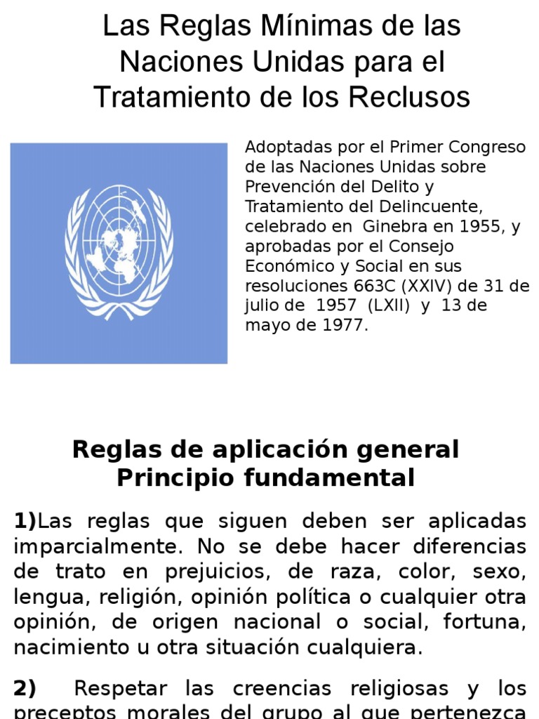 Las Reglas Mínimas De Las Naciones Unidas Para El Tratamiento De Los