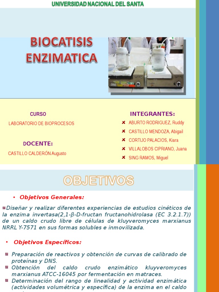 BIOCATALISIS EXOPOSICION- 3 unidad.ppt | Enzima | Ingeniería de ...