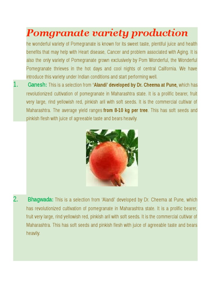Pom India | PDF | Pomegranate | Soil