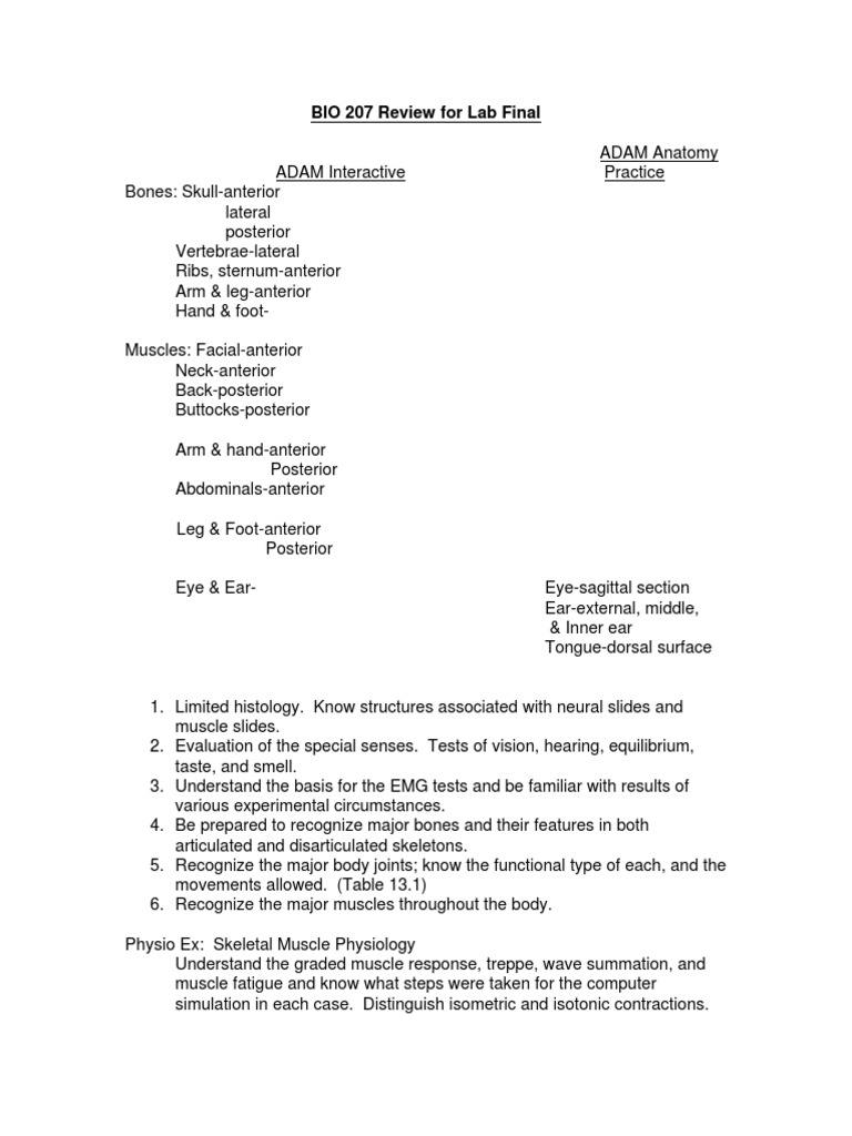 Lab Final Review | PDF