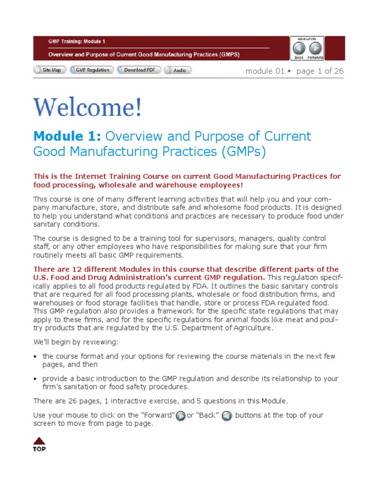 GMP Manual | PDF | Computing And Information Technology | Wellness