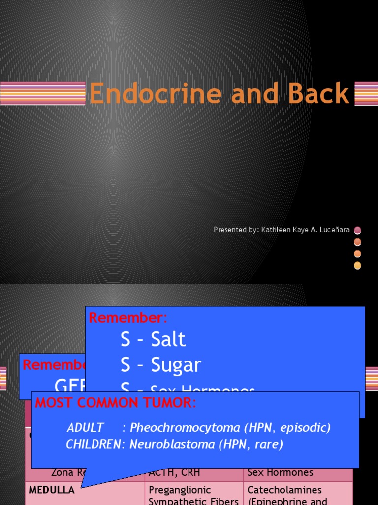 Endocrine and Back: Presented By: Kathleen Kaye A. Luceñara | PDF ...