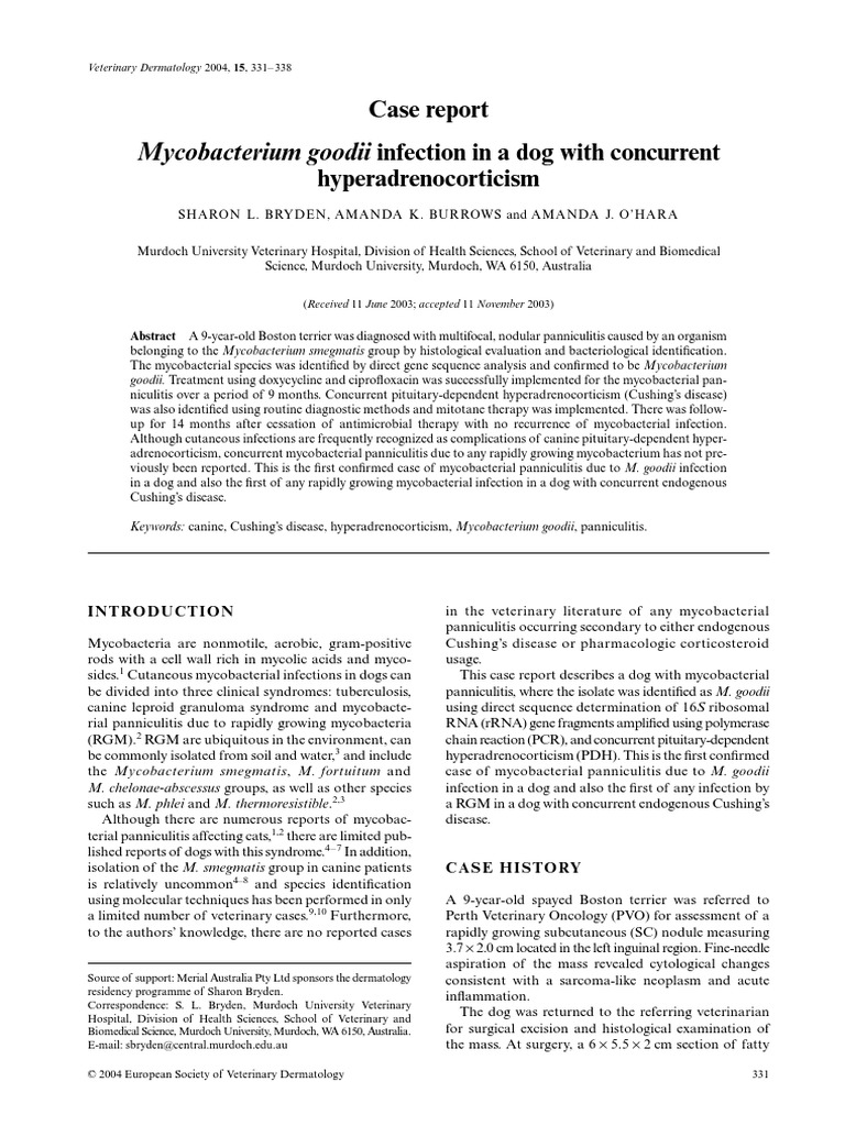 Mycobacterium Goodii Infection in A Dog With Concurrent ...