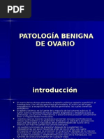 Niveles Axilares de Berg | PDF | Finanzas y dinero