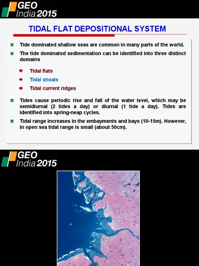 Tidal Flat Depositional Systems Explained | PDF | Tide | Shoal