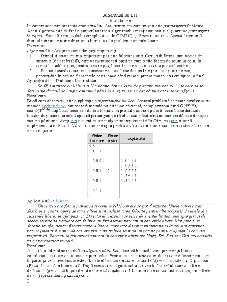 Algoritmul Lui Lee | PDF