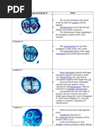 Mnemonics For Cycle Cell and Division | PDF