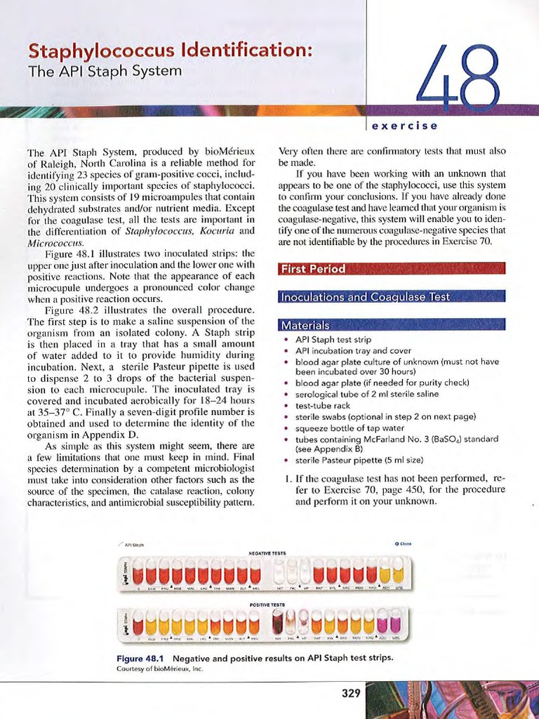 API Staph Id System Handout | PDF | Wellness | Medical