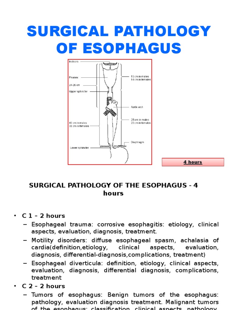 C 1+ 2 Surgicl Pathology of Oesophagus | PDF | Esophagus | Diseases And ...
