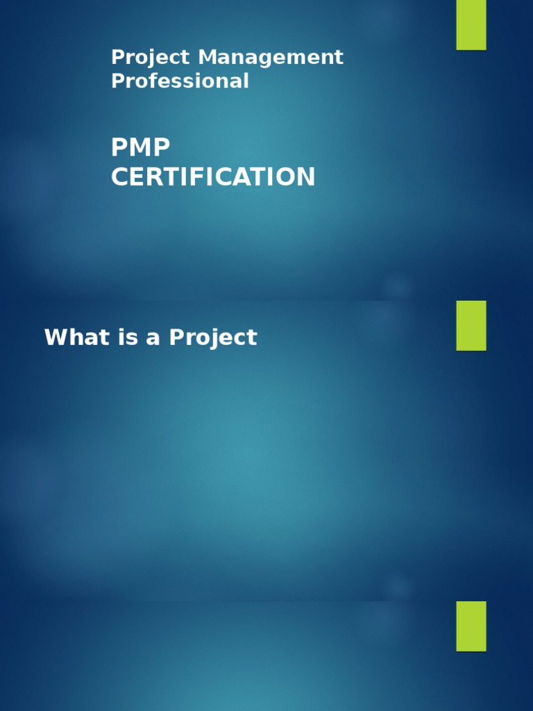 Project Management Essentials Guide | PDF | Computers