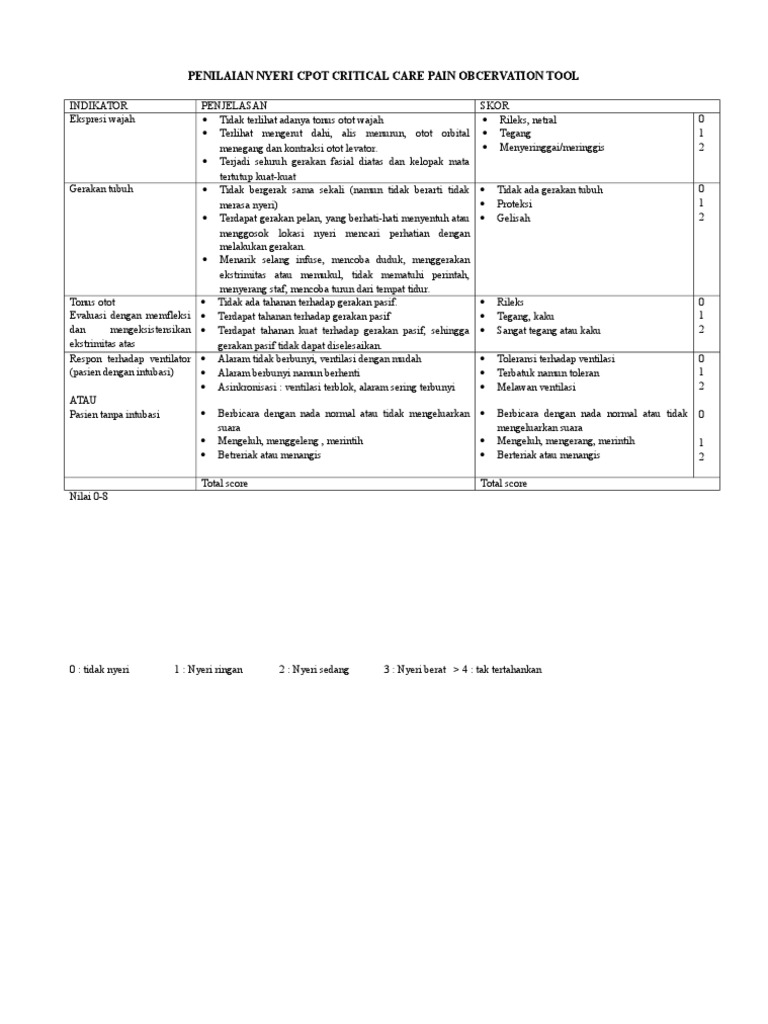 Penilaian Nyeri Cpot Critical Care Pain Obcervation Tool | PDF