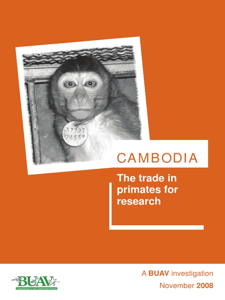 Enquête Buav | PDF | Animal Welfare | Cites