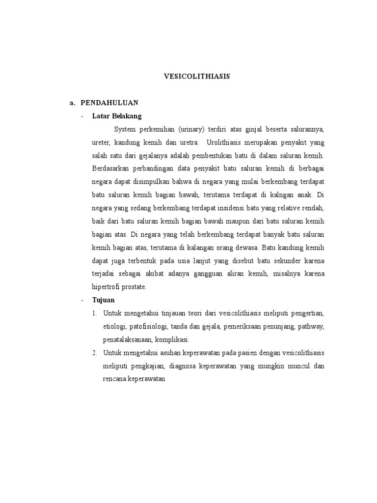 Vesicolithiasis: Panduan Medis | PDF
